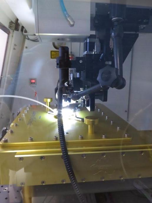 Radiogenic Isotope Facility - School of the Environment - University of ...